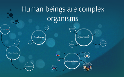 Humans follow Complex System theory – Soulogical